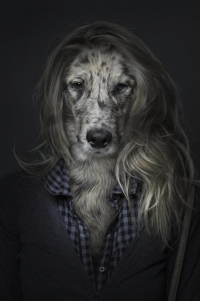 'Underdogs' Features Amazing Dog-Human Hybrid Portraits - NYC Pooch Blog