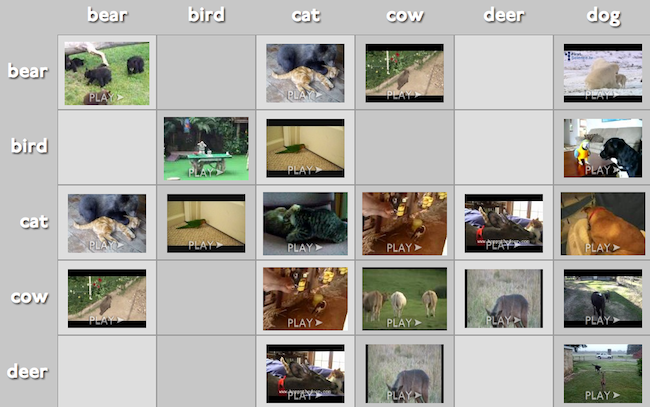 Welcome to The Animal Matrix - NYC Pooch Blog