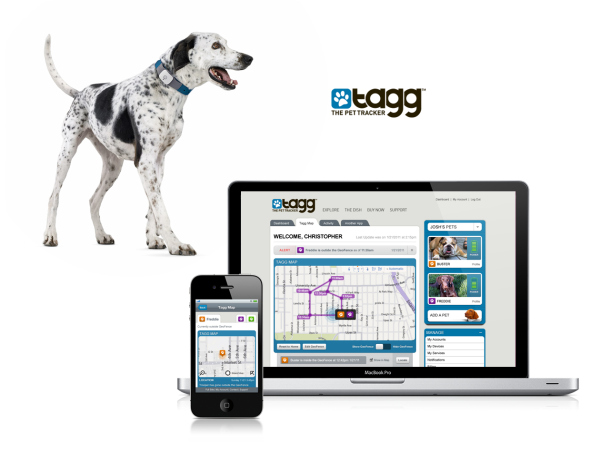 The Best Apps for Dog Walkers: Top 5 Picks - NYC Pooch Blog