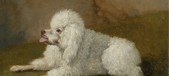 The Fun History of Dog Grooming - NYC Pooch Blog