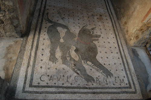 Cave Canem: The Ancient Beware of Dog Signs - NYC Pooch Blog